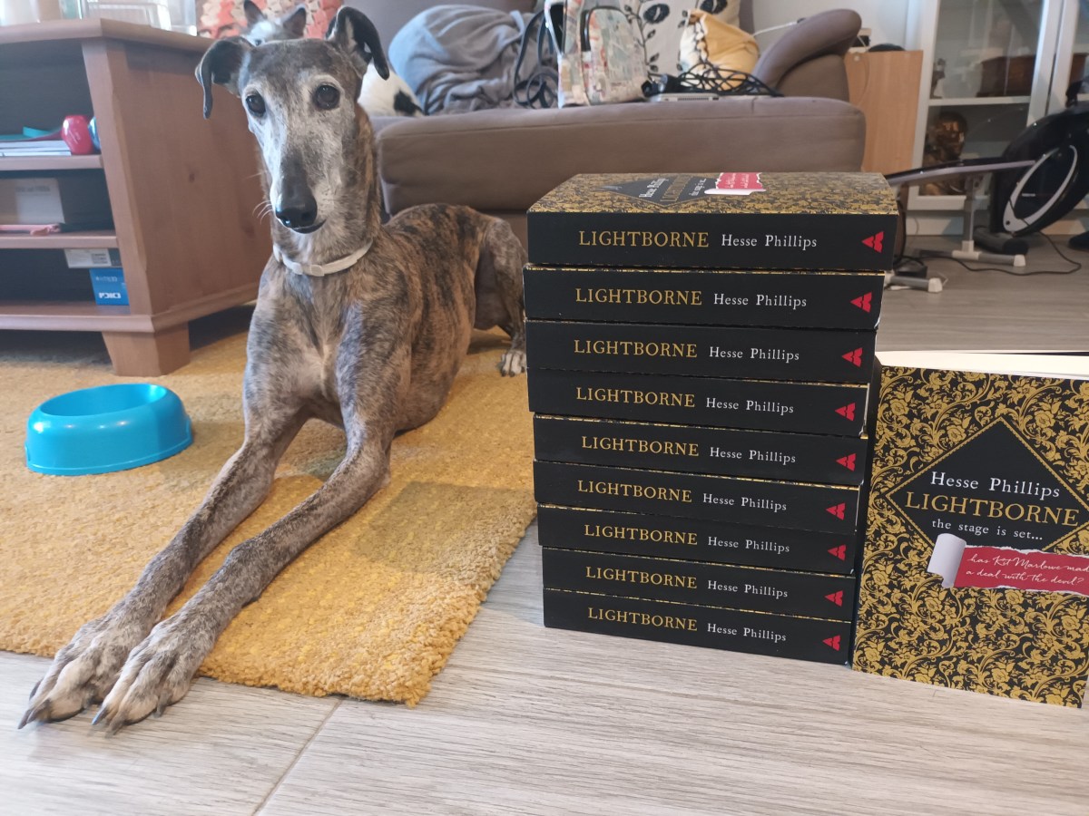 Lightborne Updates: A Big Box of Books – HESSE PHILLIPS